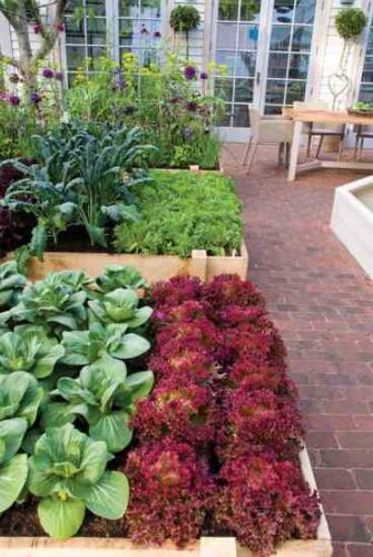 High Intensity Gardening – Mother Earth News